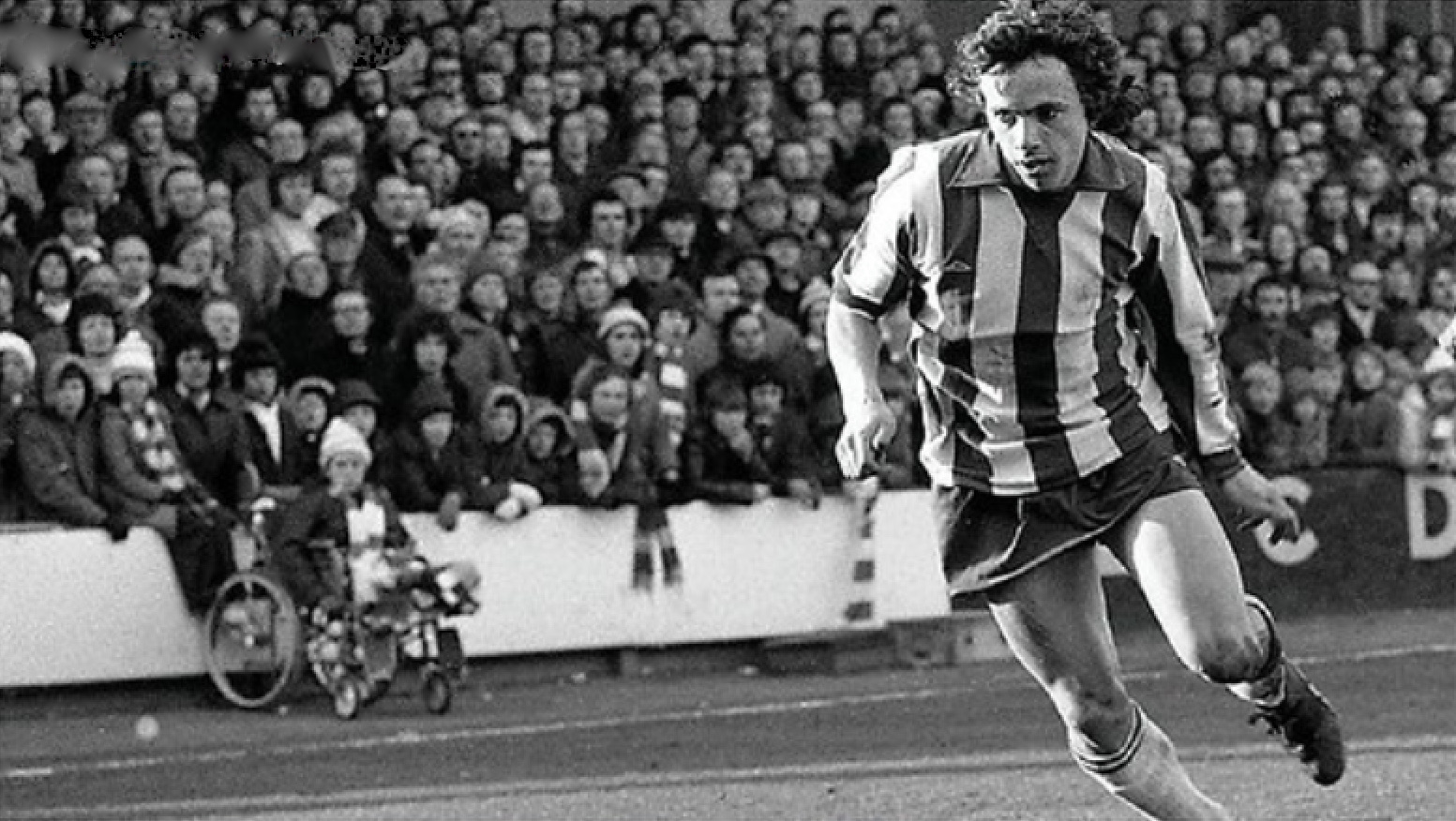 The Doog signed Brighton-bred Tiger for top tier Wolves – In parallel lines